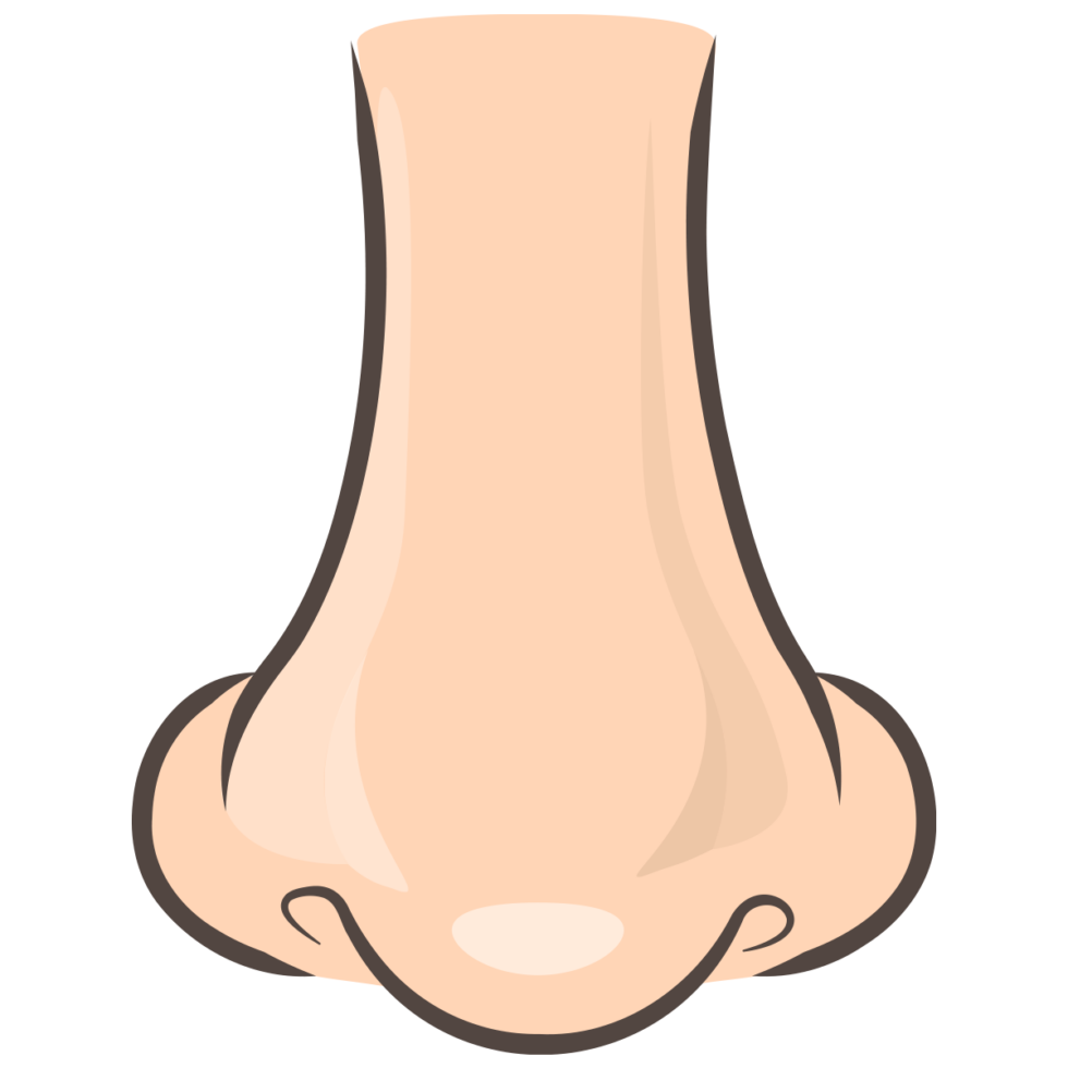 Nasenkorrektur Lüdenscheid